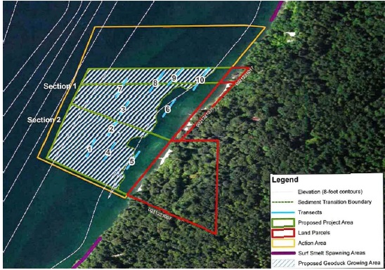 Protect Our Shoreline News: Taylor Shellfish/Haley Geoduck Farm: Pierce ...