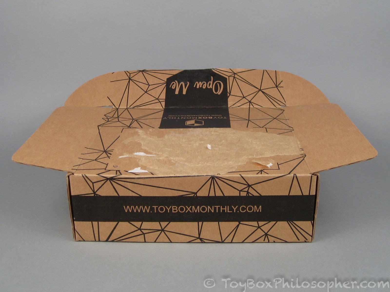 Sunday Surprise: Toy Box Monthly Subscription! | The Toy Box Philosopher