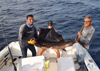Lands End Charters – Cabo San Lucas fishing charters: Some of the Most ...