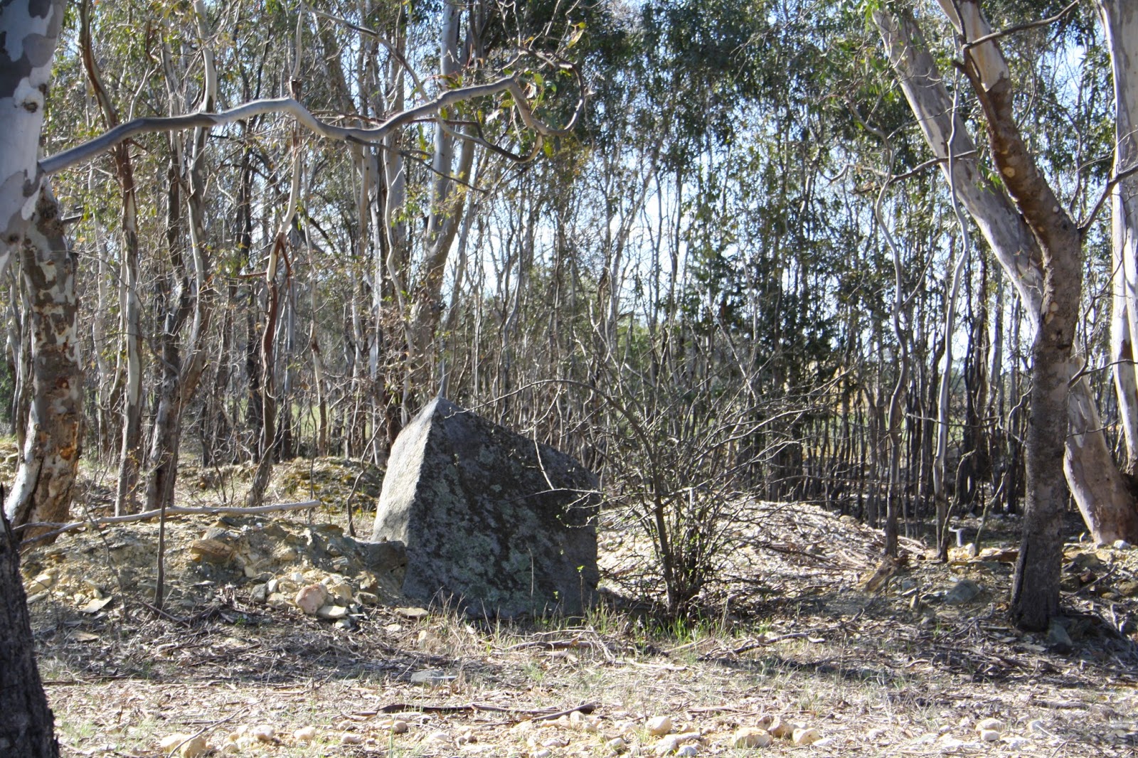 RDO Melbourne: Grand Duke Mine, Timor