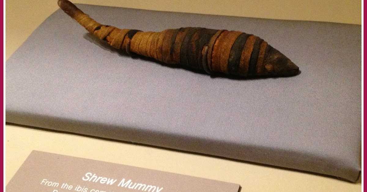 Pooch Smooches: Animal Mummies - A Fascinating Exhibit