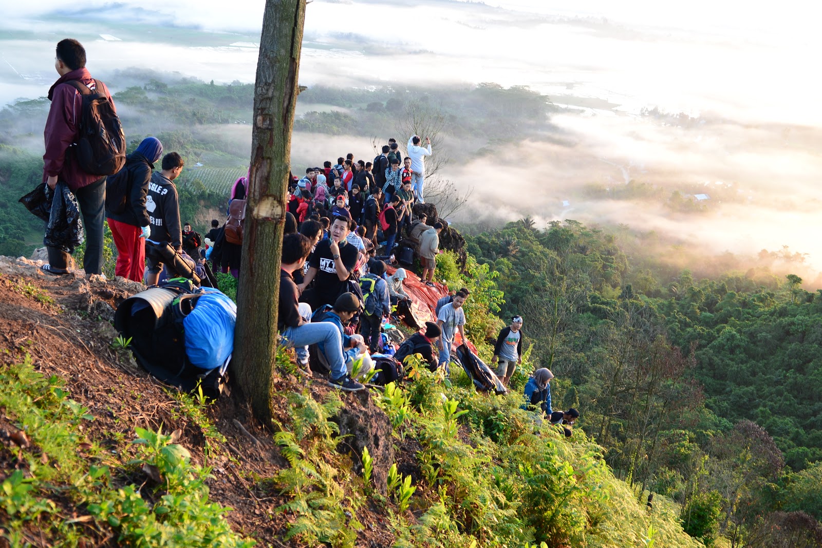 Memungut harapan Di puncak Bukit Biru