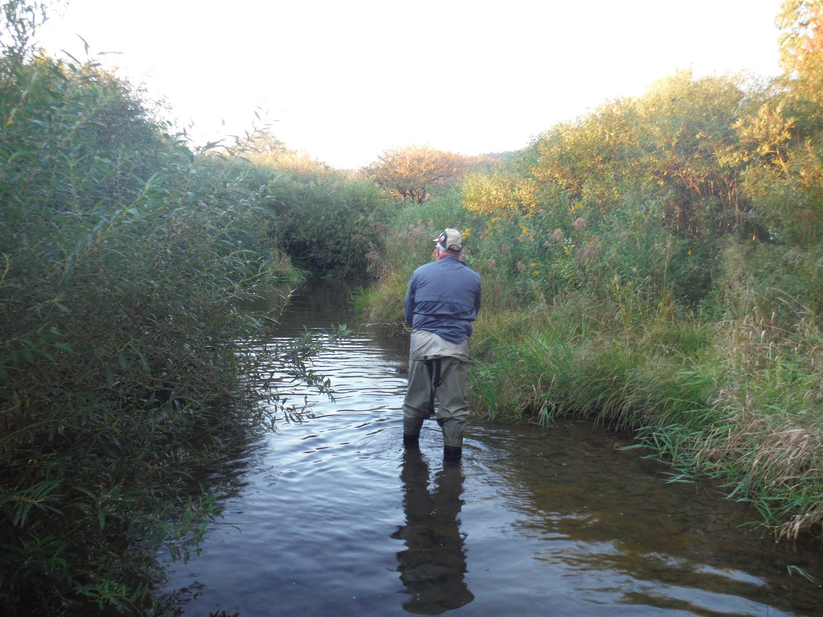 Mikey D Fishing: First Day of Fall Fly Fishing in Potter County