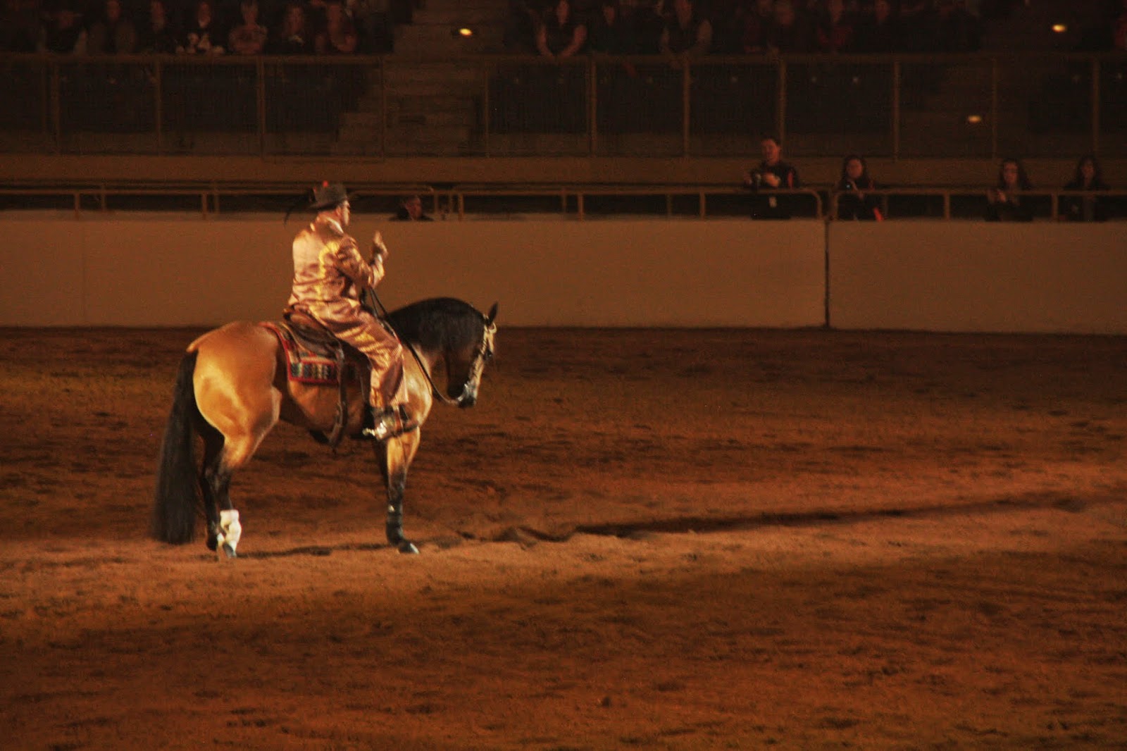 Bits and Spurs: 2015 RAM Invitational Freestyle Reining
