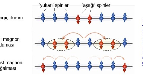 Prof. Dr. Bilsen Beşergil: Magnon (magnon)