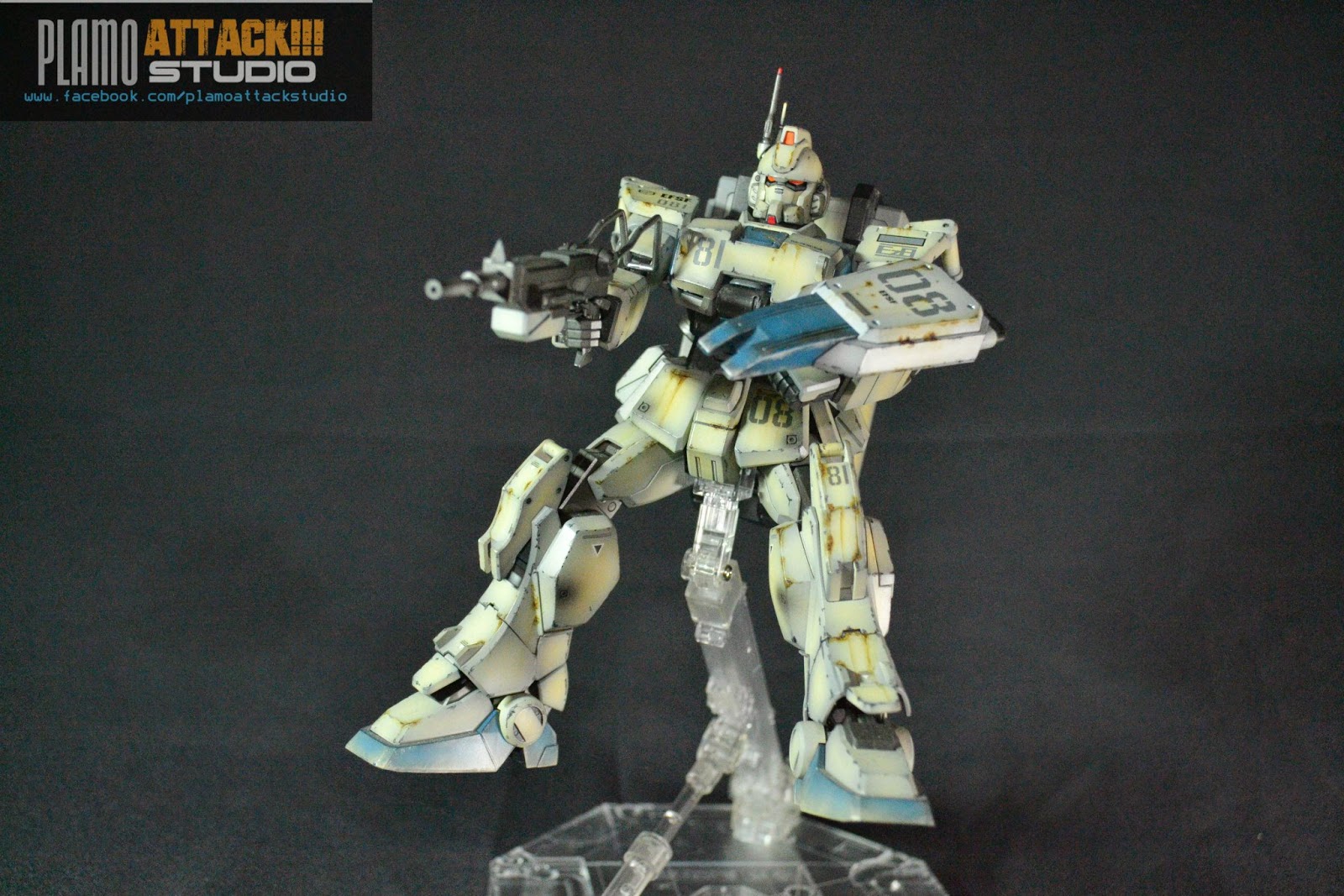 Custom Build: MG 1/100 RX-79[G]Ez-8 Gundam Ez8