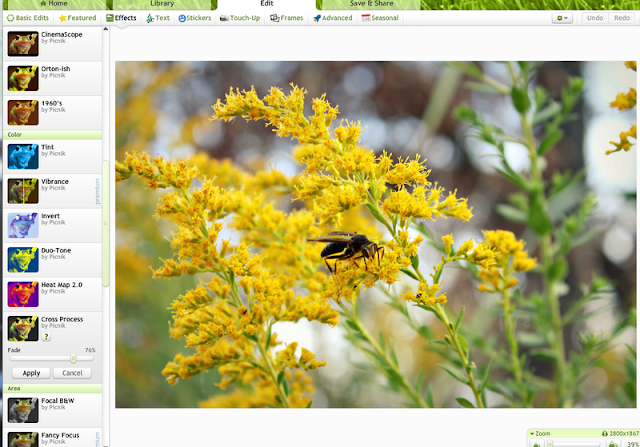 Live. Love. Craft.: Tutorial - Basic Editing Using Picnik