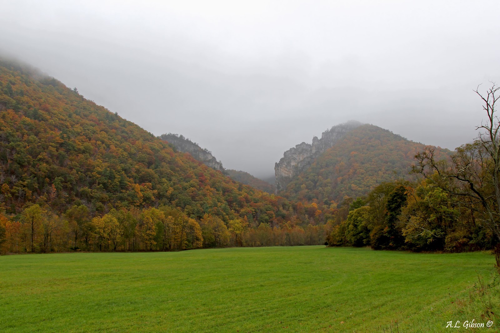 The Buckeye Botanist: West Virginia's Seneca and Champe Rocks