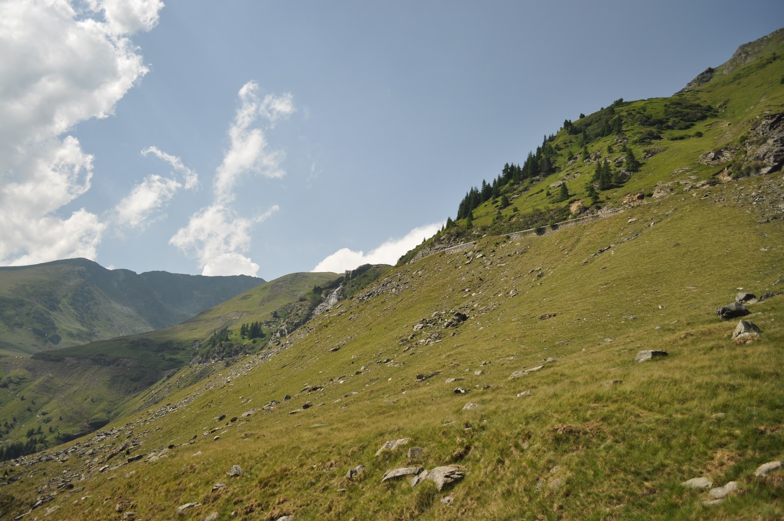 Poze, Natura, Animale, Plante, Romania, Valcea, Ionut Ungureanu