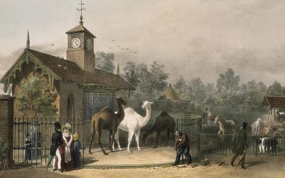 Heroes, Heroines, and History: The History of Zoos