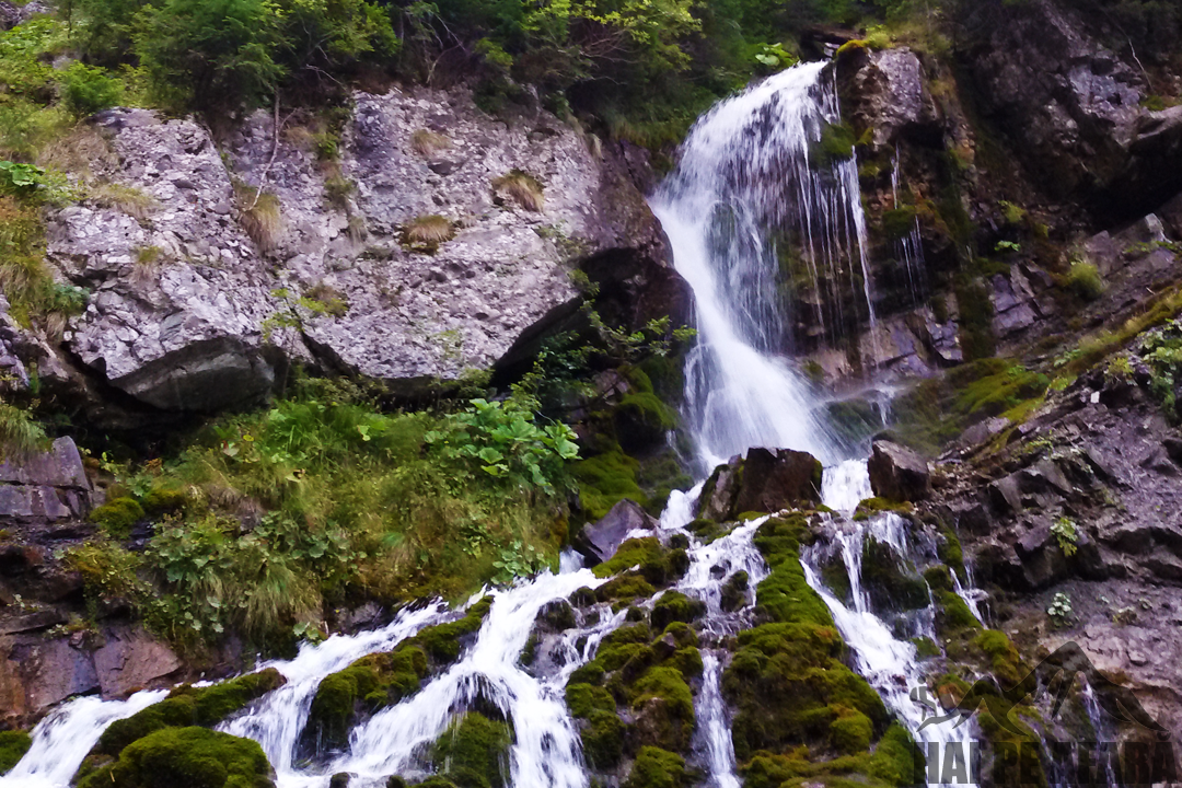 Traseul către Cascada Valea Spumoasă, Bușteni