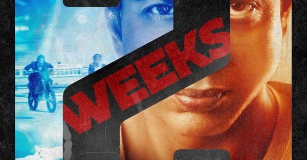 Fan 2016: Movie Full Star Cast & Crew, Story, Release Date, Budget, Box ...