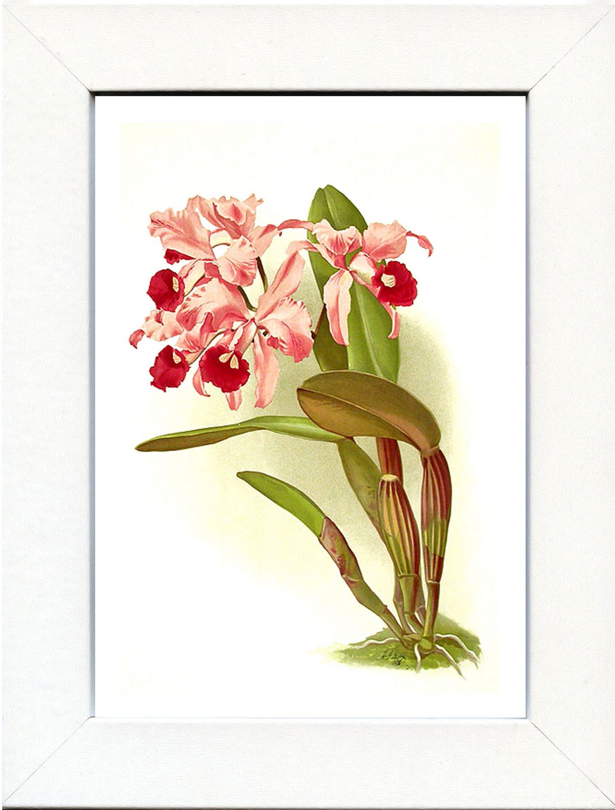 jjjewel.resimlerim: ÇİÇEK TEMALI RESİMLER