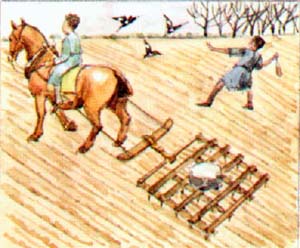 Wereldgeschiedenis: Boeren in de middeleeuwen