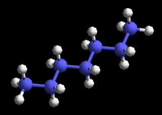 METODO DE LAS CIENCIAS: estructuras moleculares