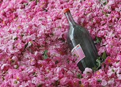 Festival of the favorite flower of the Prophet Muhammad in Iran | islam ...