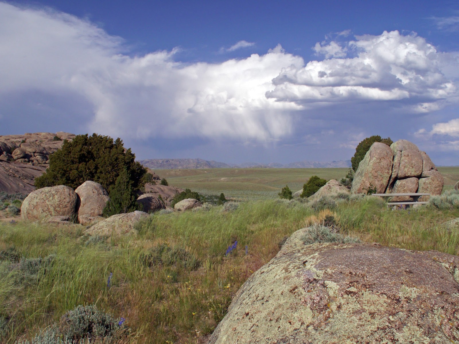 I Got Nothing: Vacation Dreams