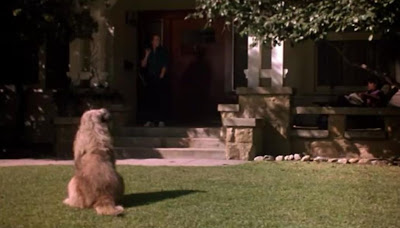 Filming Locations of Chicago and Los Angeles: Teen Wolf