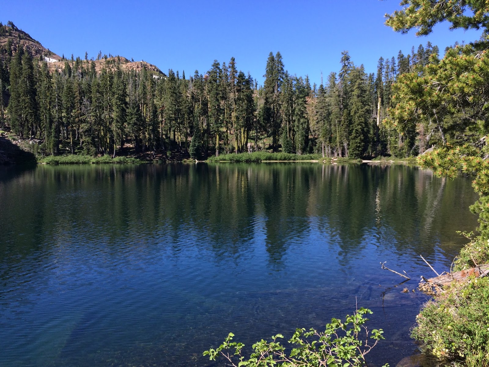 Peachy Hiker: August 2018 update Grouse Ridge Lookout ~ and Trail Head
