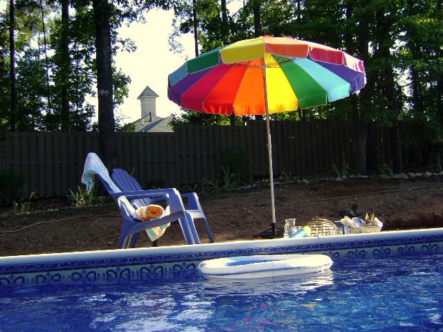 The Decorative Dreamer: Poolside Picnic