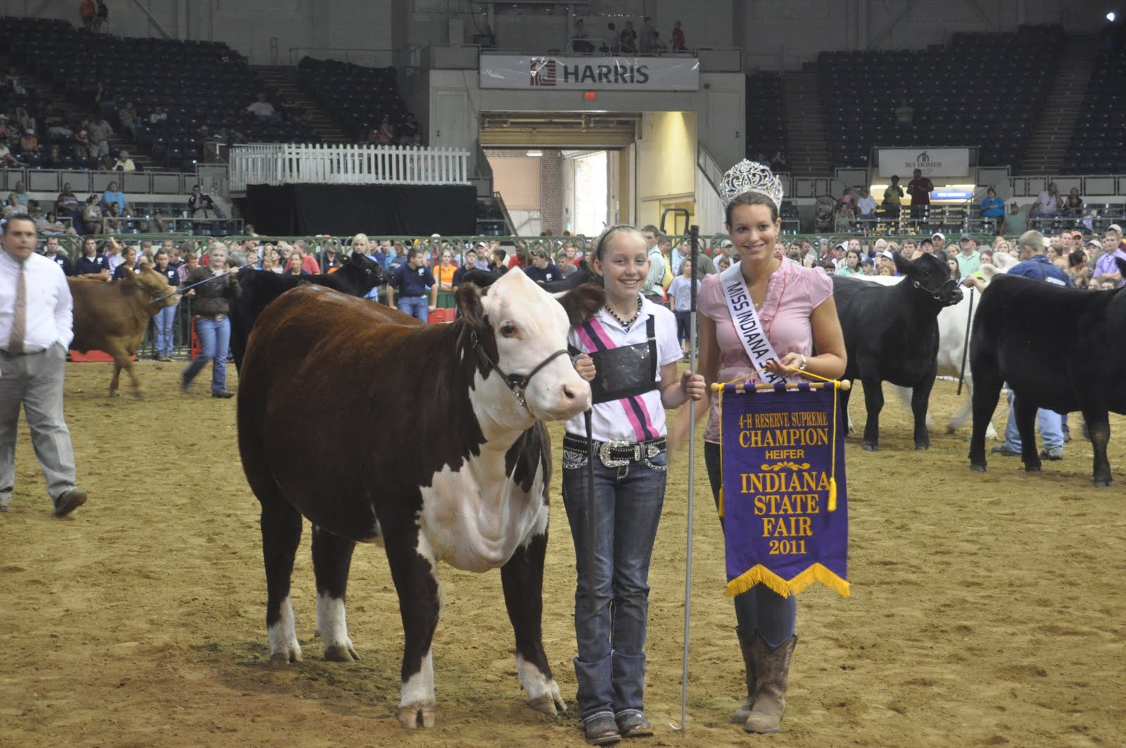 Matt Lautner Cattle TV: 2011 Indiana State Fair