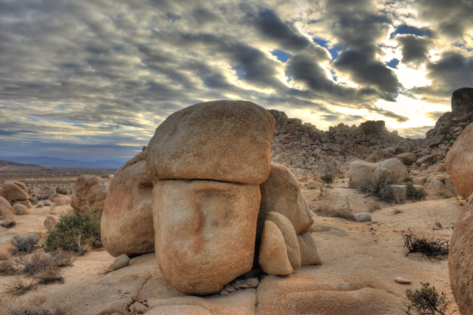 UNIQUELY JOSHUA TREE: ROCK PILES JOSHUA TREE