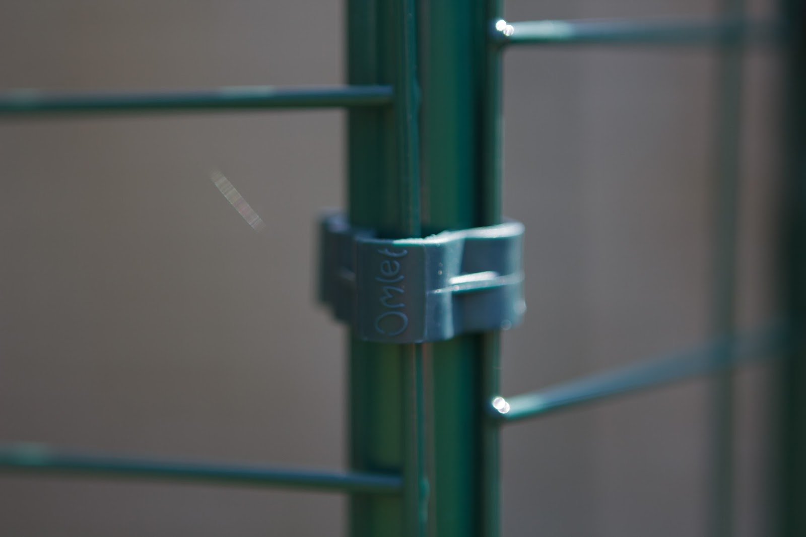 Team Stokey: Omlet Cat Run Review