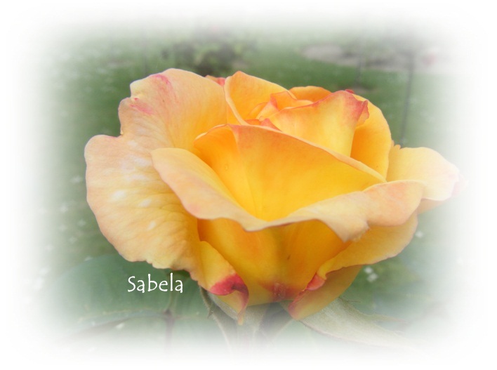 Un rincón para el atardecer: abril 2011