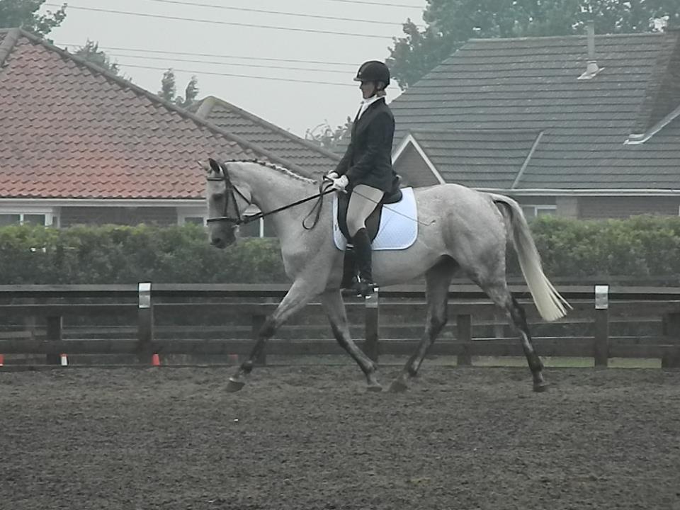 Fir Tree Stud: Bespoke dressage training