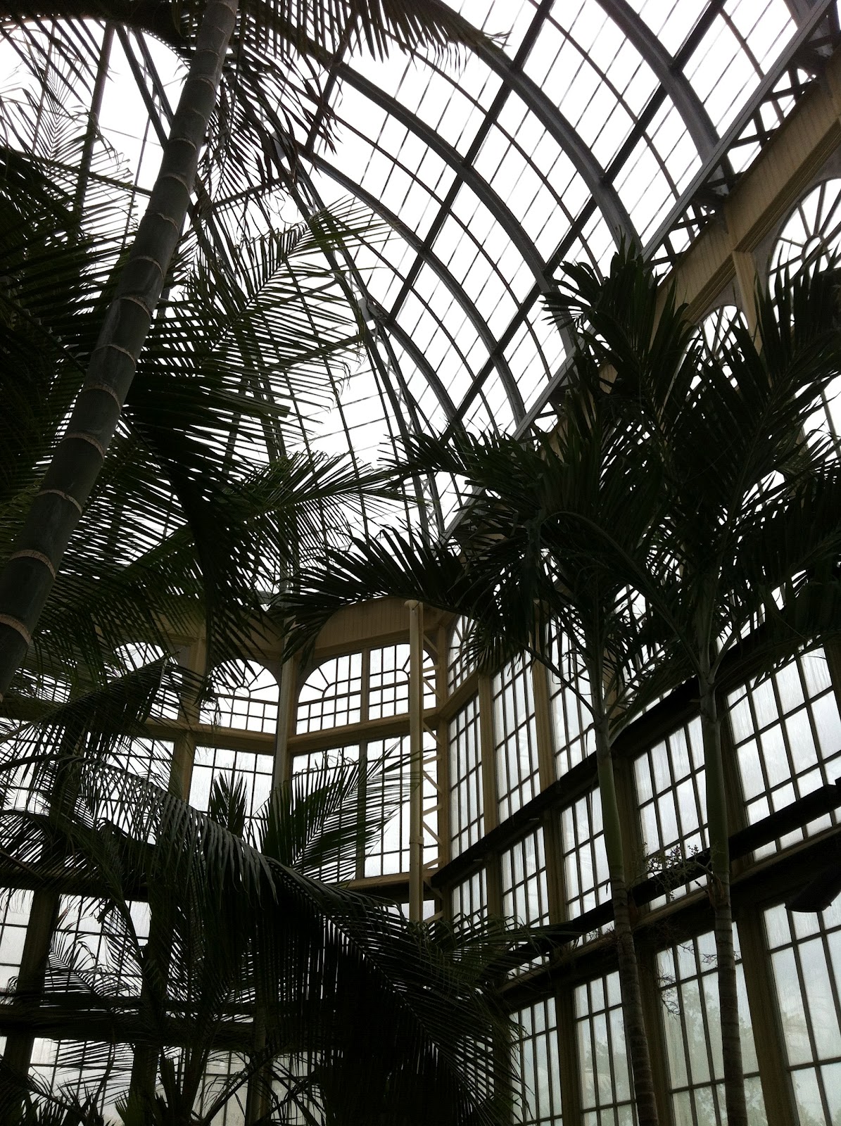 Baltimore Bohemian: The Baltimore Conservatory