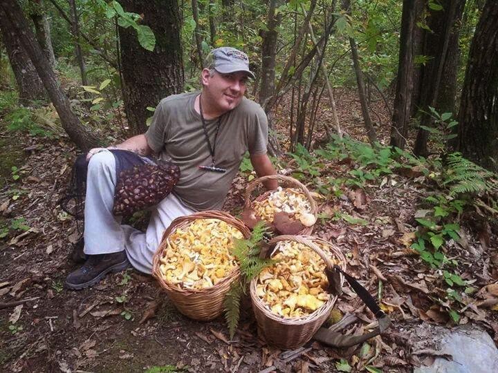 Fungomagia.....Macinetor