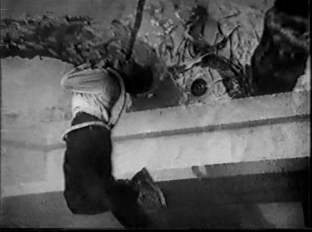 Dr. Theda's Crypt: Creepy Creatures.....