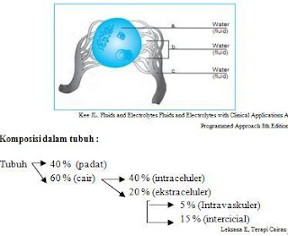 Prinsip Dasar Cairan Tubuh