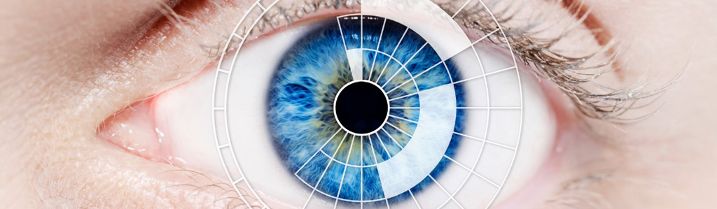 Perimeter Visual Field Test - Visual Field System