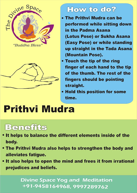Divine Space Yog and Meditation : Prithvi Mudra