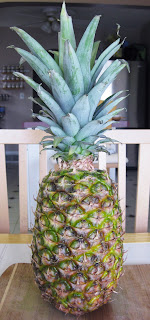 Bloatal Recall: Pineapple Ginger Jam