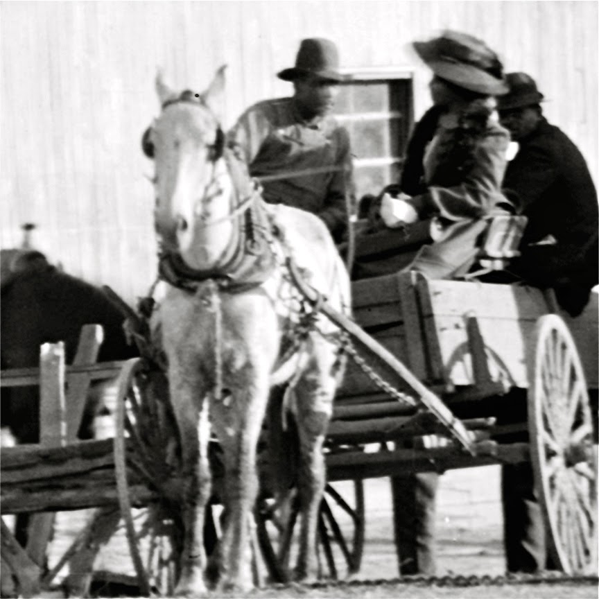 A Closer Look at the Chas. H. Organ Docking Near Memphis