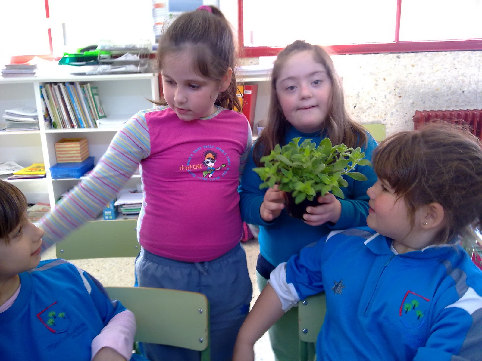 Blog Colegio Monteazahar Taller De Jardinería En 1º De Primaria