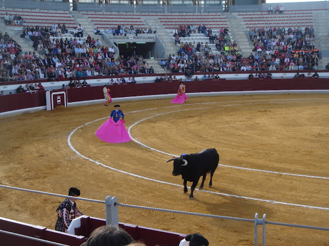 RTgoes2spain: My first bullfight
