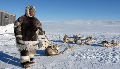 White Wolf : Inuit Urge Science and Ancient Wisdom Cooperation (Video)