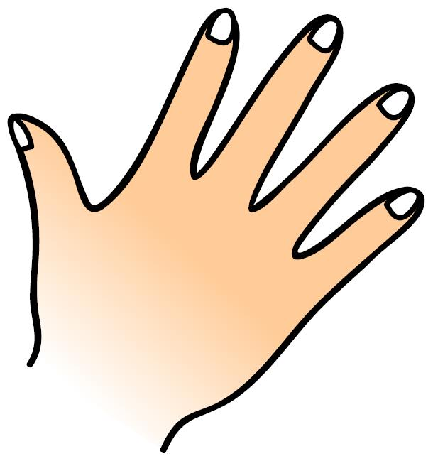 BELAJAR MENGENAL ANGGOTA TUBUH DALAM BAHASA ARAB, INGGRIS DAN INDONESIA ...