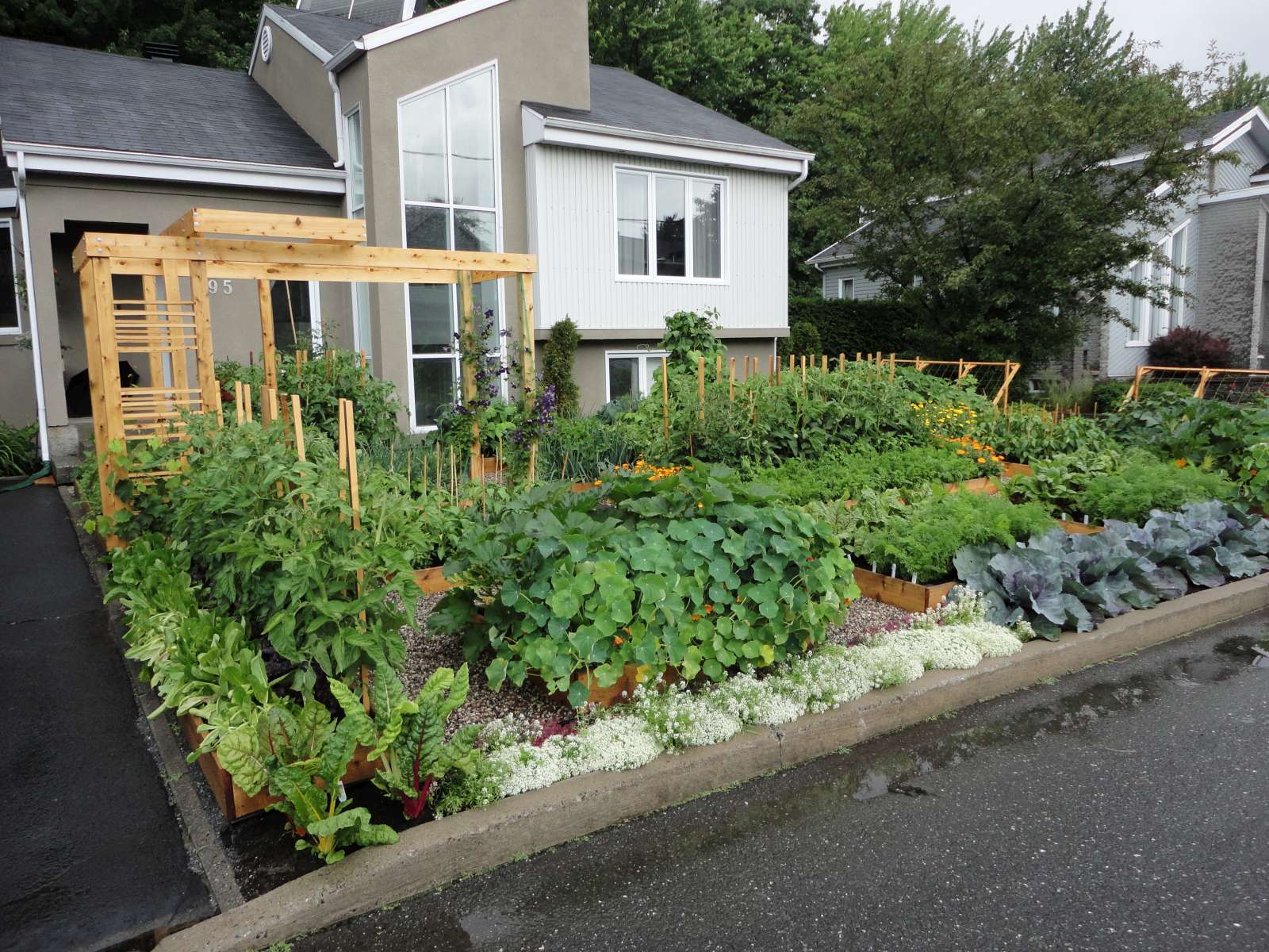 Le potager urbain: Vidéo d'une visite virtuelle du potager urbain