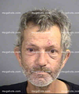 Collier County, Florida Mugshots: Mugshot Michael Olin Collins