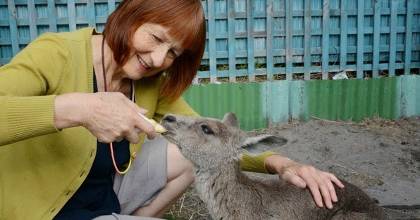 Small Animal Talk: Hop Up! Wriggle Over! Interview with children's ...