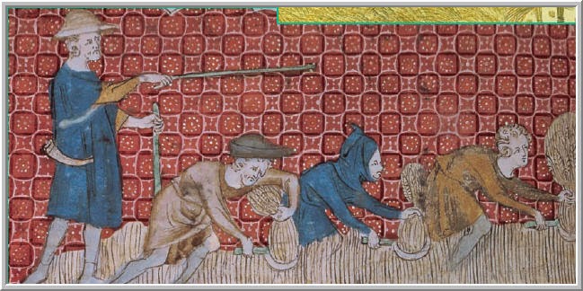 Històries Manresanes: 2014