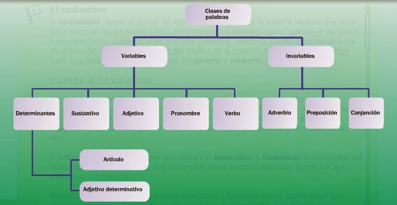 Mi aula de P.T. del curso 2013-14: Esquema tipos de palabras