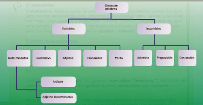 Mi aula de P.T. del curso 2013-14: Esquema tipos de palabras