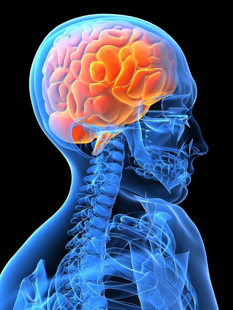 MOIN I BAIG How To Increase Brain Power moin-i-baig-how-to-increase-brain-power