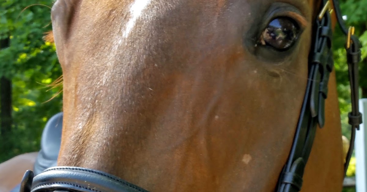 Behind the Bit: Get that look off your face!