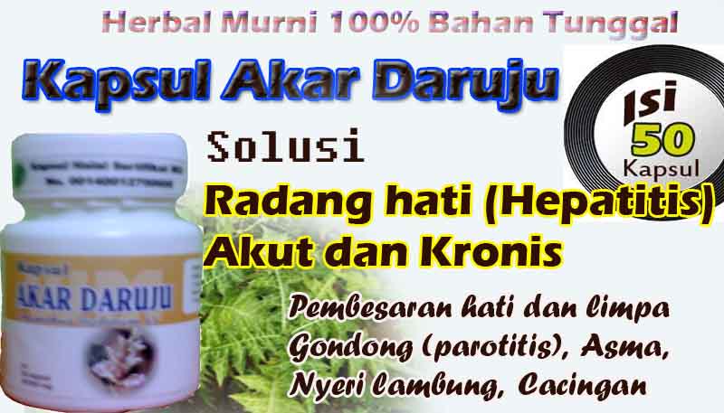Produk Herbal Murni bahan Tunggal: KAPSUL AKAR DARUJU (Jeruju) / Lao ...